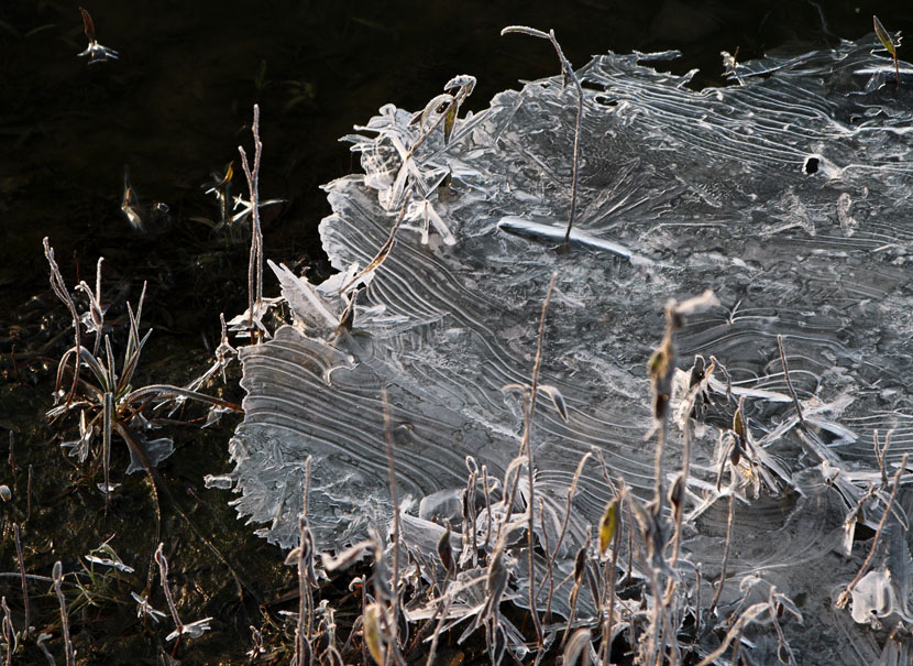 RHMZ izdao hidrološko upozorenje: Na Dunavu i još dve reke uočeni ...