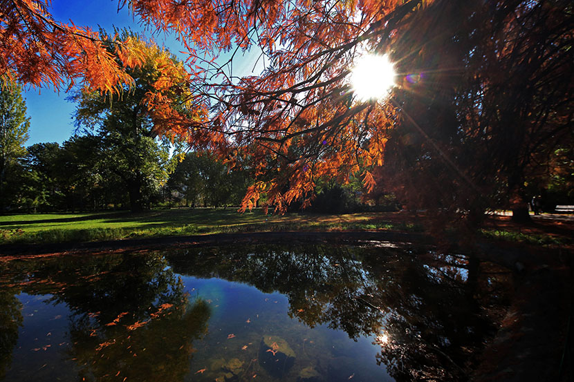 Leto u oktobru - Telegraf.rs