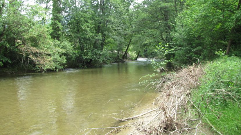 Legenda koja živi: U ovom delu Srbije i danas sreću srndaće kao što je ...