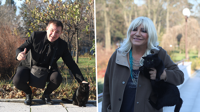 Crni mačor dočekivao goste na RTS-u: Vesna ga ljubila, a ni Mitar nije ...