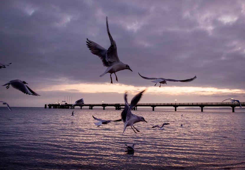 Baltičko more je najmanje slano more na celom svetu - Ona.rs