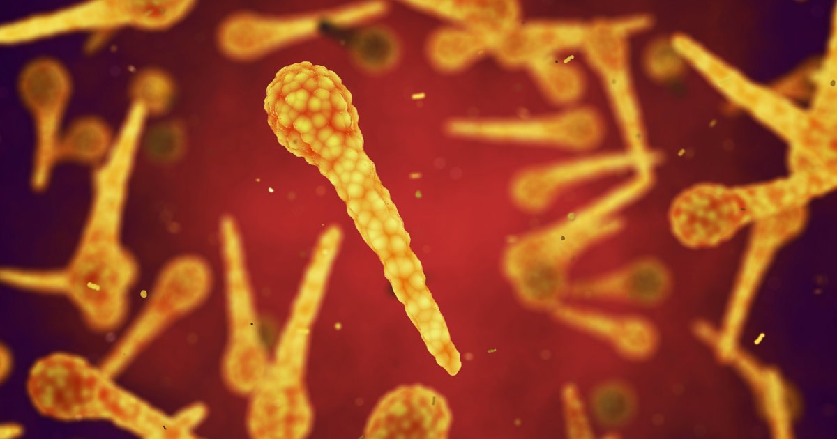 Da li su ljudi sa autoimunim bolestima u većem riziku od razvijanja ...