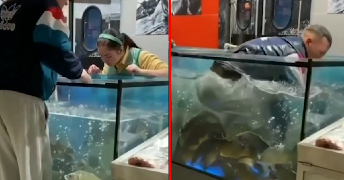 Zaprosio devojku, ona ga odbila i bacila prsten u akvarijum: Ribe zamalo da ne prežive njegov ...