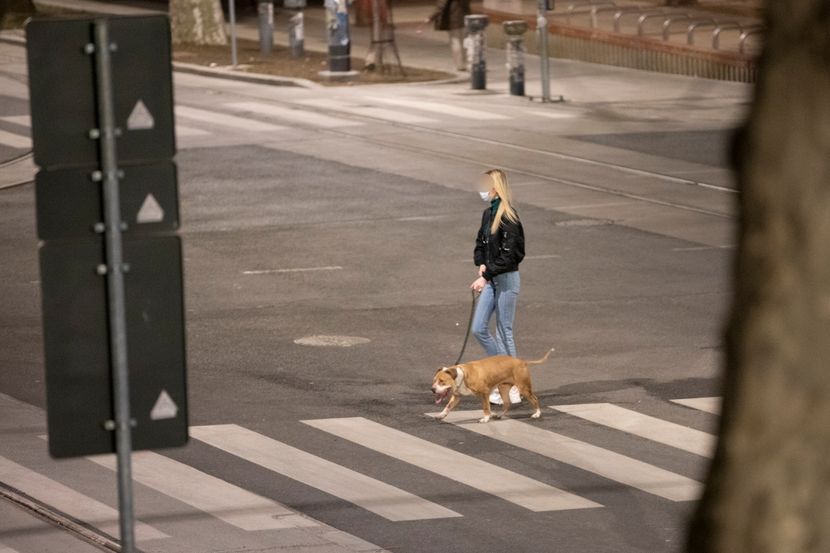 Mesečni dnevnik korone u Srbiji: 51 žrtva, 1.908 obolelih i desetine ...