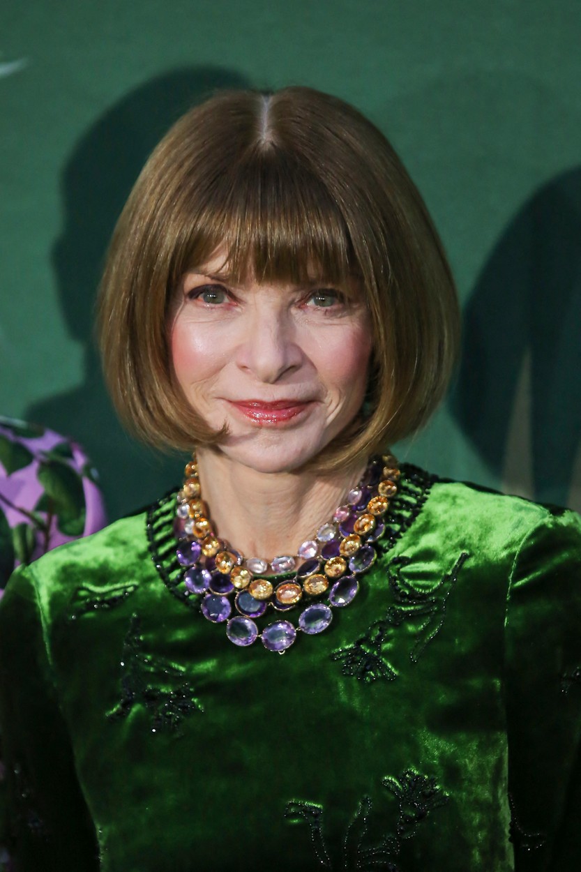 Na Met Galu stigla i "mama igre": Da li je modna diva Ana Vintur "ubola ...