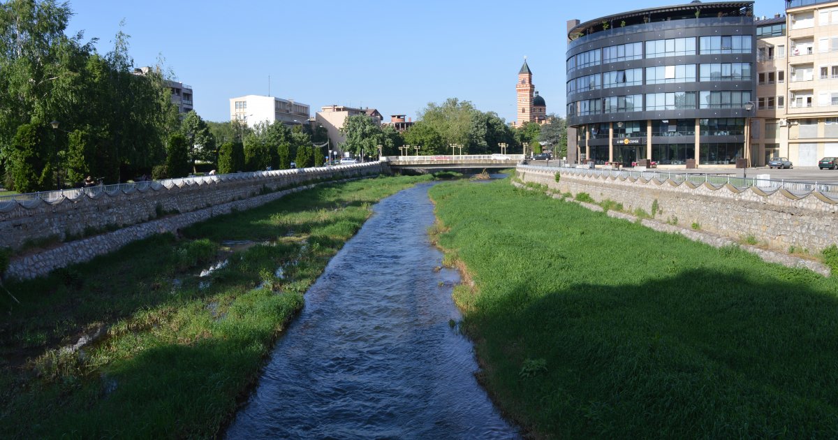 Ovaj grad u Srbiji krenuo u akciju protiv pacova: Deratizacija neće ...