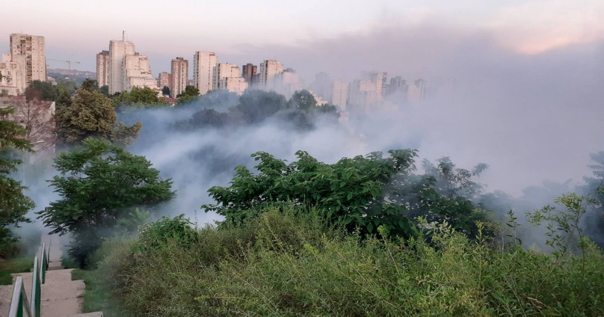 Beli dim iznad Ade uplašio Beograđane: Evo o čemu se radi - Vesti ...