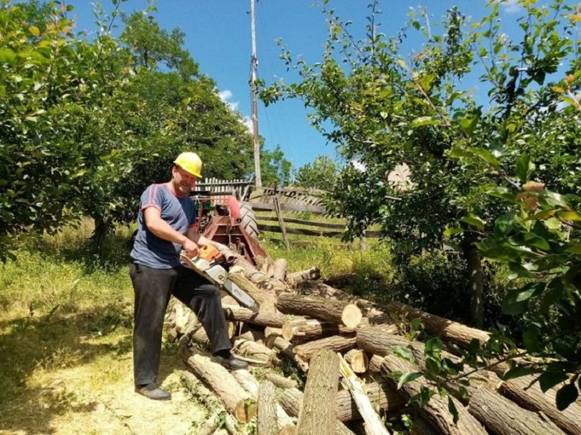 Radoslav sam obori grdosiju od 40 metara, nikada se nije plašio ...