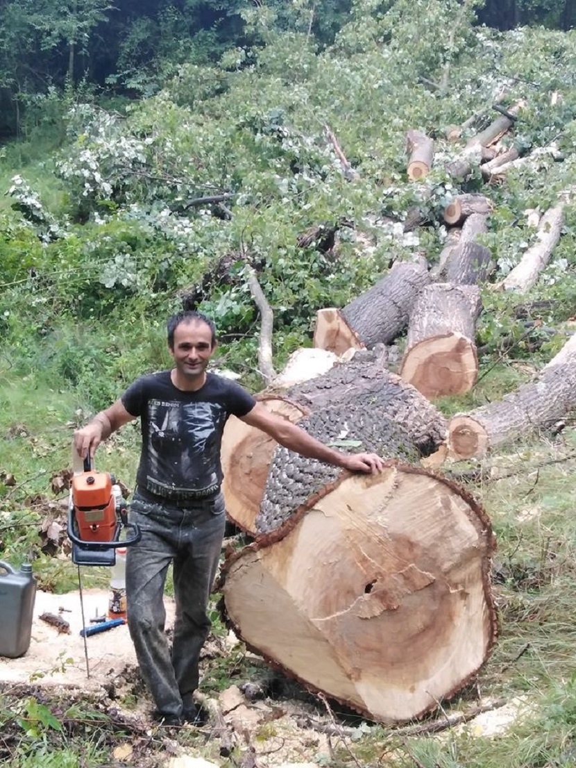 Radoslav sam obori grdosiju od 40 metara, nikada se nije plašio ...