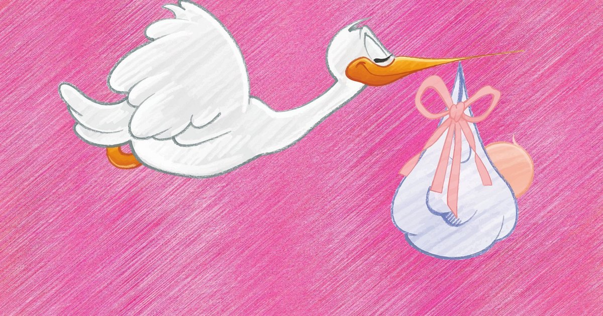 Bebi bum u Novom Sadu: Roda je porodilište za praznik posetila čak 40 ...