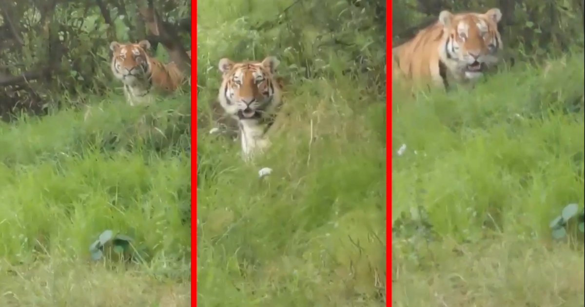 Neočekivani gost u odmorištu: Kao suvenir odneo je kofu riba - Telegraf.rs