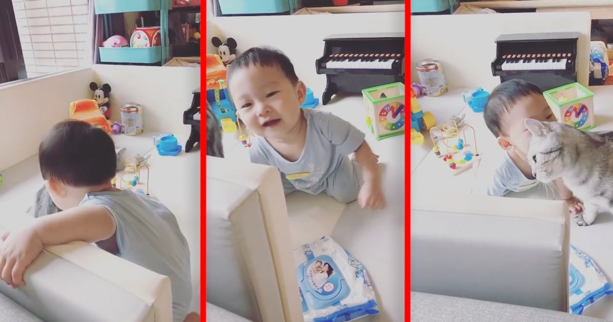 Razumeju se bez reči: Beba i maca su najbolji drugari - Telegraf.rs