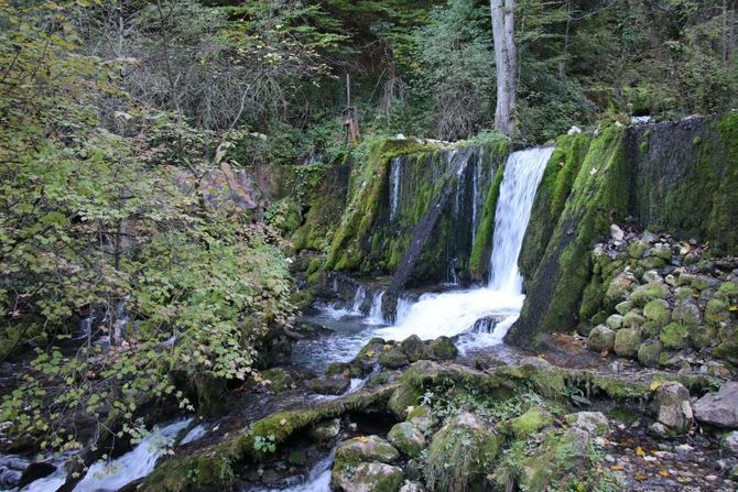 Najkraća reka u Evropi izvire u podnožju Tare: Zbog dužine od 365 ...