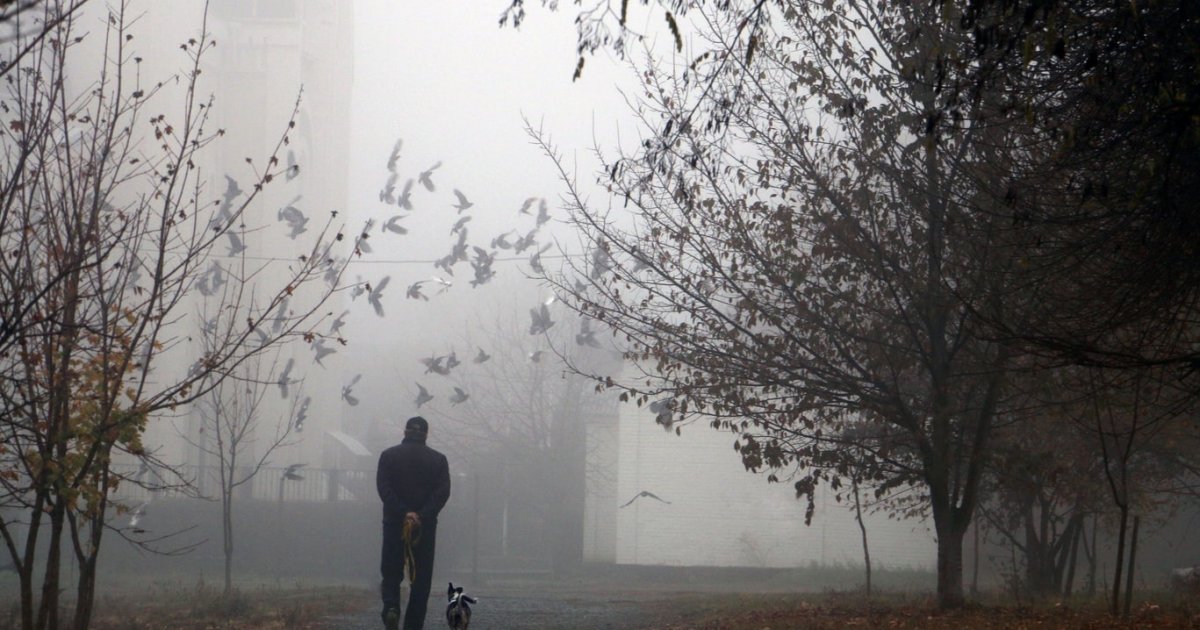 Lep petak kao uvod u fin, jesenji vikend: Ujutru magla kao u hororu ...