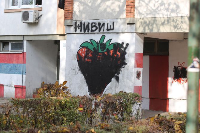 Kako izgleda Kotež posle upada Grobara: Nisu dirali samo 1 mural ...