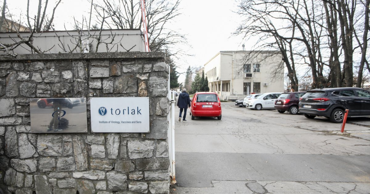 Institut "Torlak" dobio novo rukovodstvo - Telegraf.rs