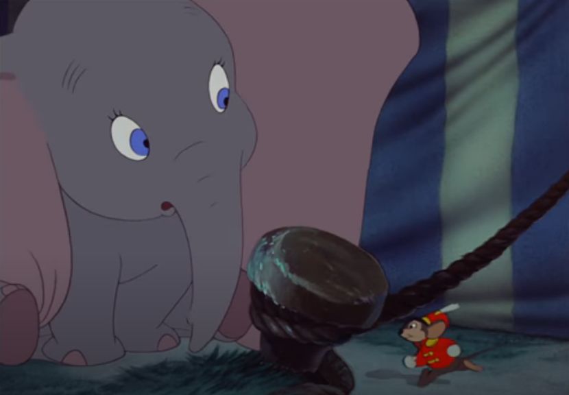 Dambo je napunio 80 godina: Činjenice koje niste znali o čuvenom ...