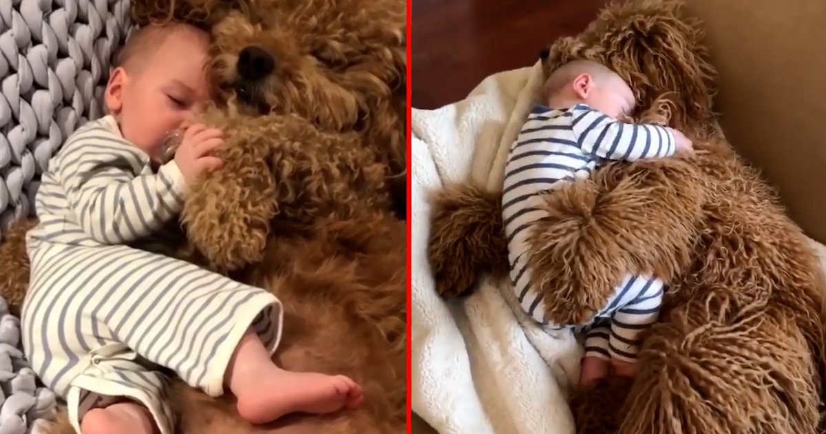 Prizor koji će vam ulepšati jutro: Ko bi se usudio da njih dvoje ...