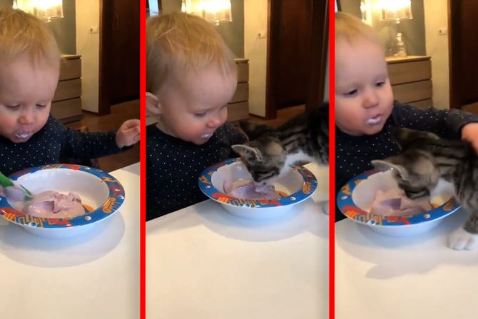 "Ti ćeš meni da jedeš sladoled": Šta se desi kada se beba i maca ...