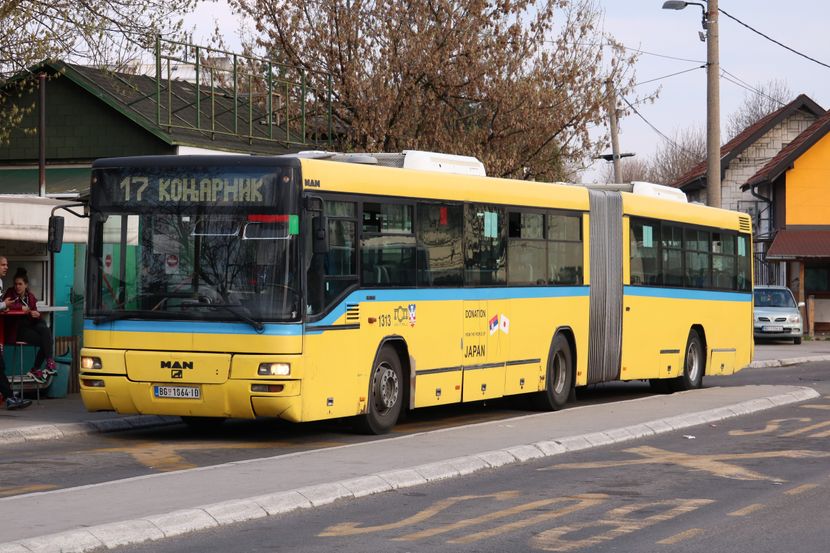 "Japanci" na ulicama Beograda postali "punoletni", da li je ovo ...