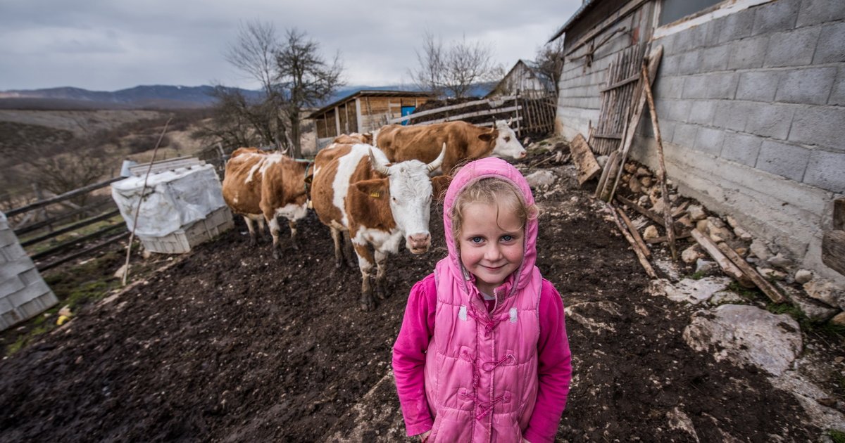 Ana (5) iz Tutina danju čuva svoje kravice, a noću spava u čađavoj sobi ...