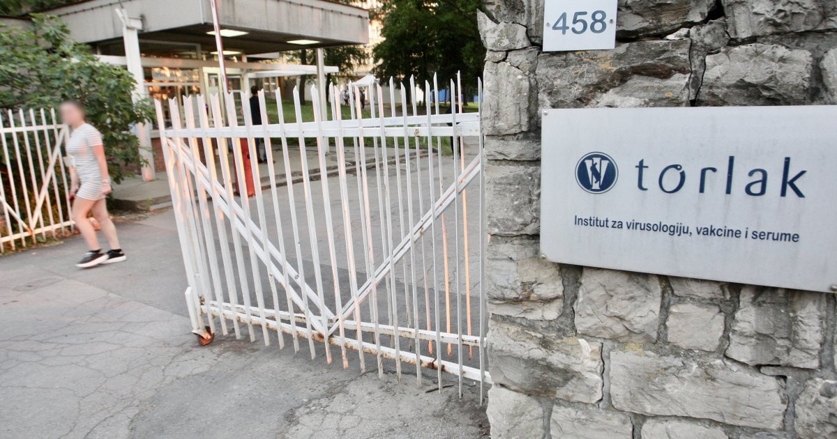 Torlak postao član Mreže proizvođača vakcina zemalja u razvoju ...