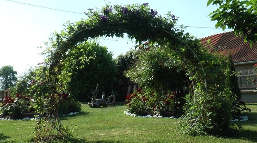 Verica je napravila rajski vrt podno planine Vujan: U njenoj bašti ...