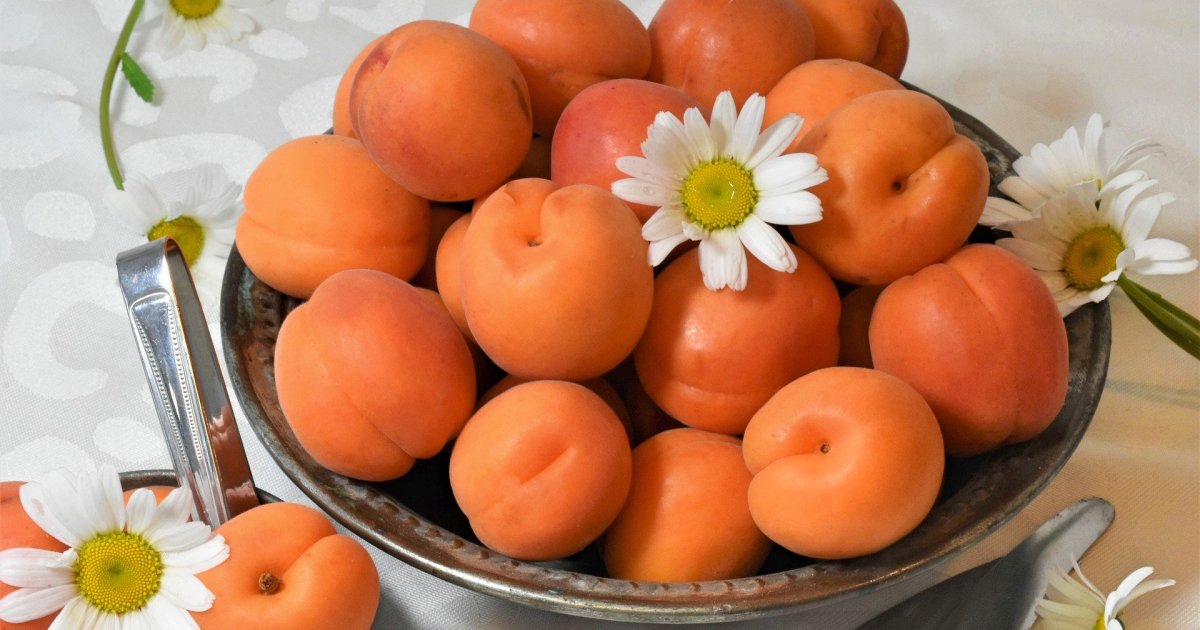 Kajsije su zdravije od jabuka: Čuvaju kožu, kosti, oči i srce ...