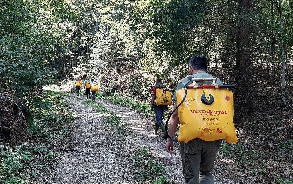 Požar iz Republike Srpske opasnost za Nacionalni park Tara: Gore žile ...