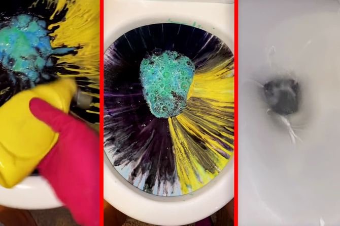 Da li je ovo najskuplje pranje wc šolje ikada: Potrošila tonu sredstava ...