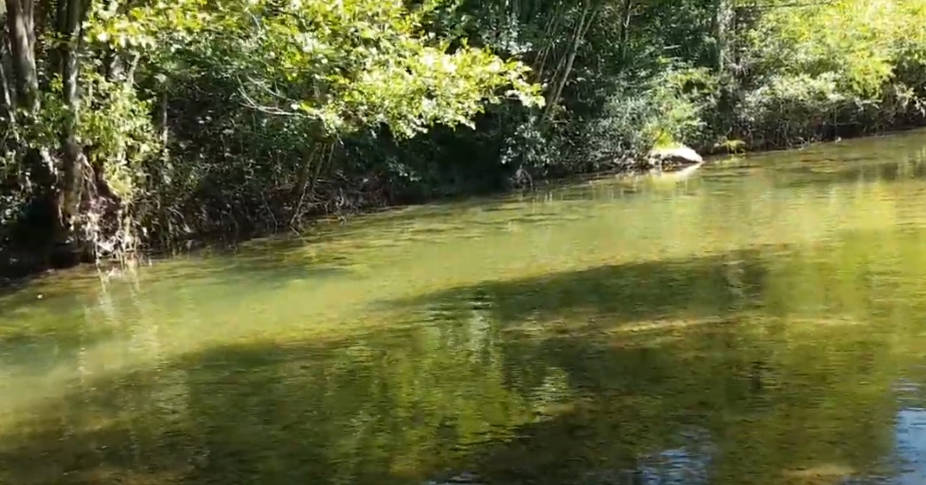 Jedna od najčistijih reka u Srbiji nudi plaže za svačiji ukus: Čime sve ...