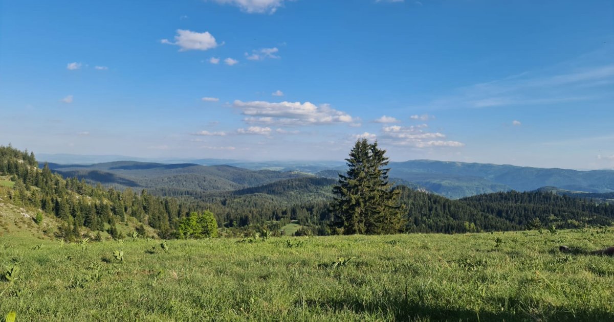 Planina Zlatar orkužena je tokovima četiri reke - Ona.rs