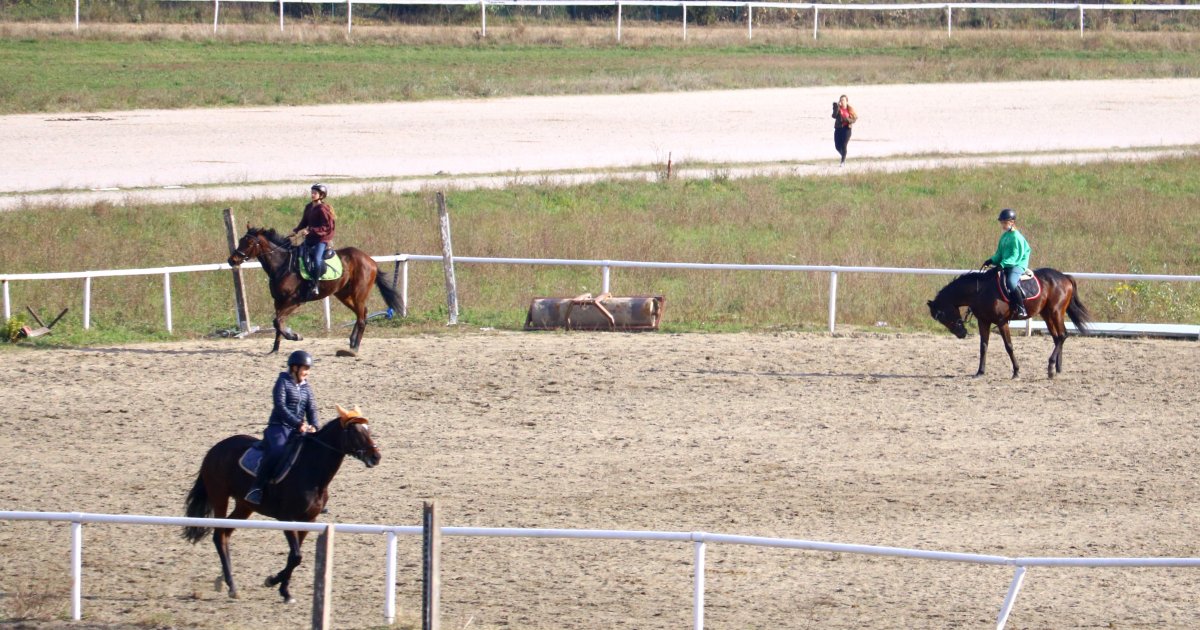 U nedelju trkački dan na Hipodromu, na obnovljenoj stazi - Telegraf.rs
