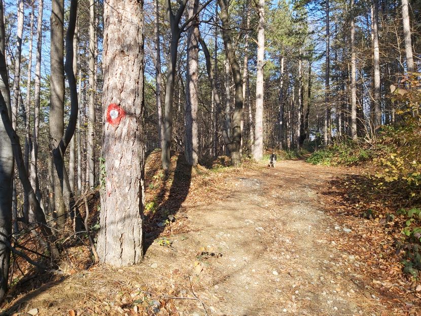 Planina Rudnik - Ona.rs