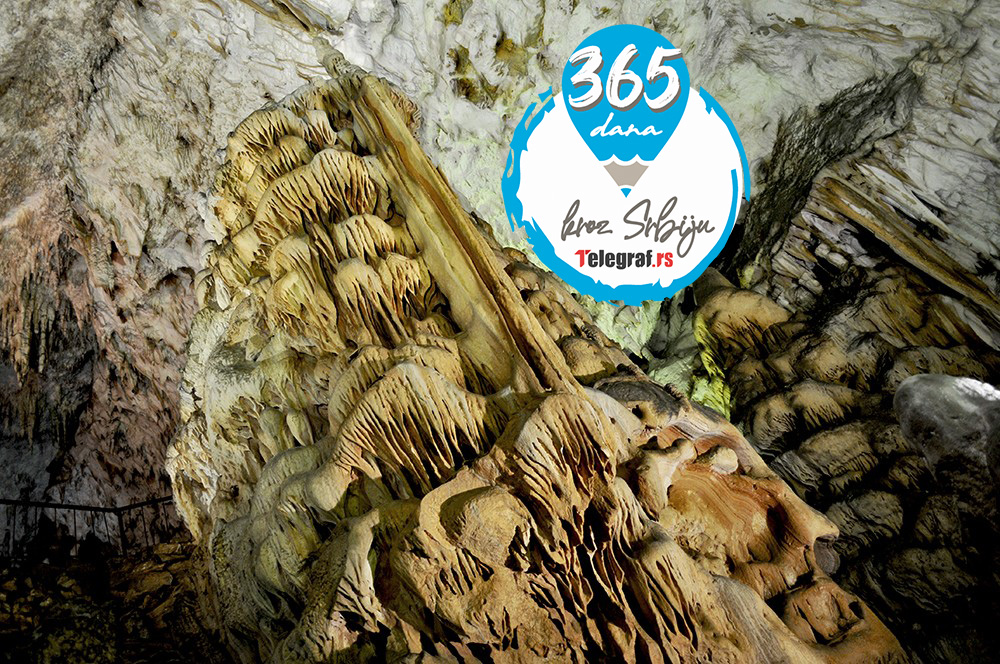 Lepa Vlajna je simbol Ceremošnje: Ovde su nekad dobre vile čuvale ...