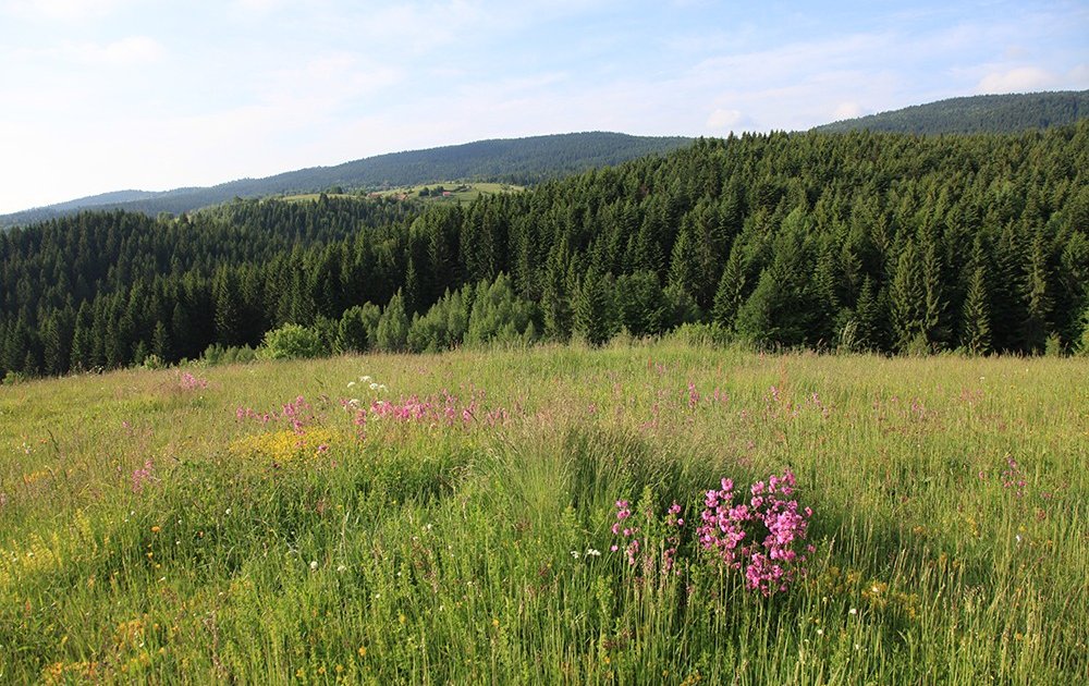 Planina Zlatar idealna je za ljubitelje prirode - Ona.rs