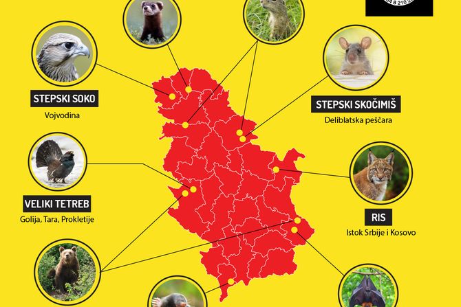 Na ovim mestima žive najugroženije životinje: Zaštićeno 2.500 vrsta ...