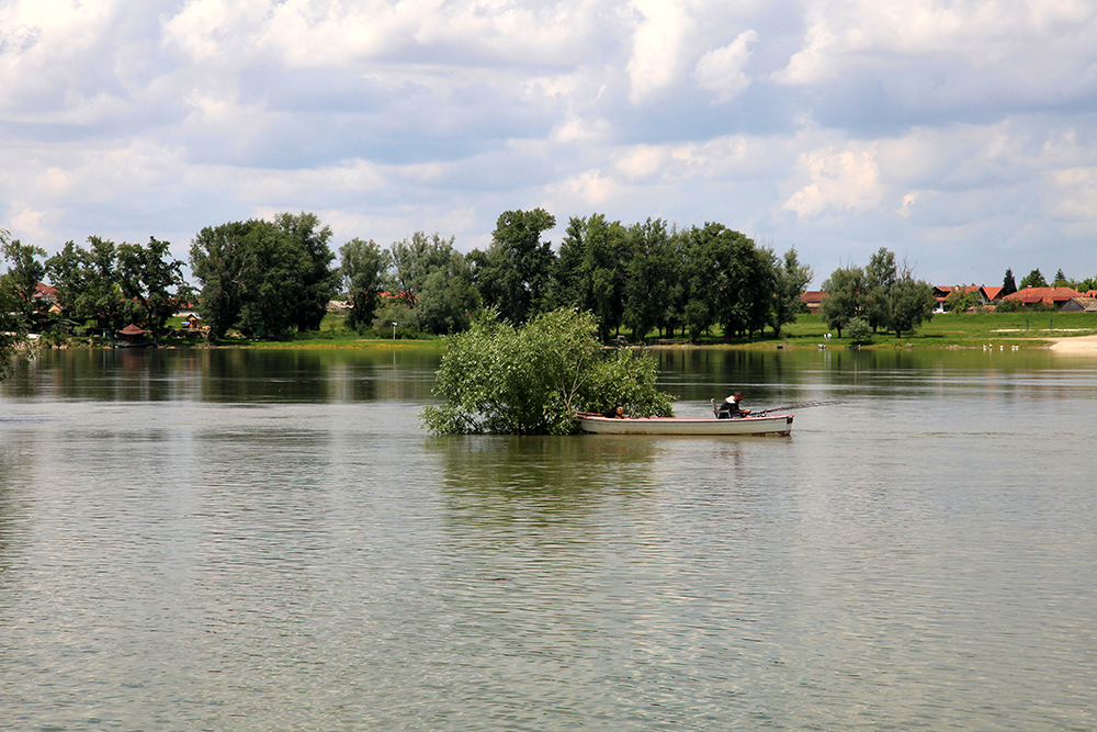 A trip to Beocin: A healing escape to a Danube paradise - Telegraf.rs