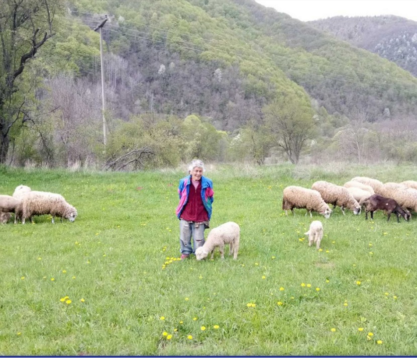 Baka Mara (72) jedini je žitelj Iskrovaca, sela na izdisaju: "Iz godine ...