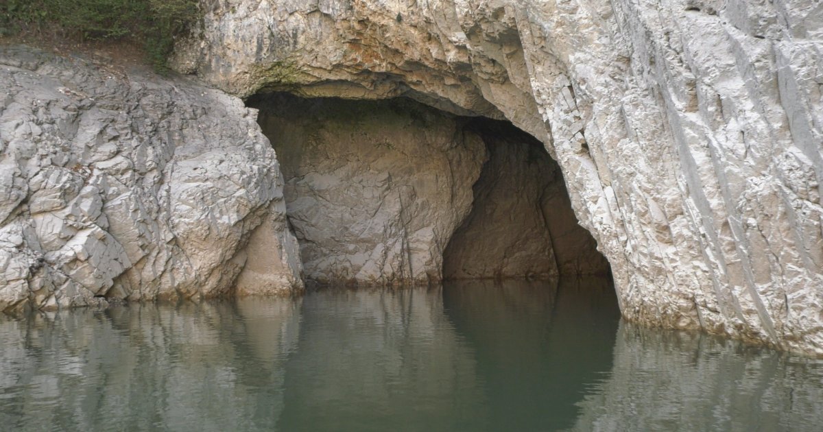 The Usac Cave is home to extremely rare "pigeons": A speleological ...
