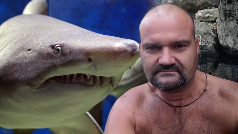Saveti iskusnog ronioca kako se ponašati kada ste s ajkulom oči u oči - Telegraf.rs