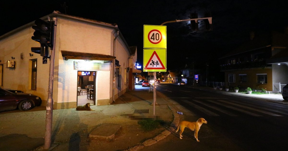 Meštani u šoku posle pogibije komšije Culeta u Stepojevcu: "Držao je ...