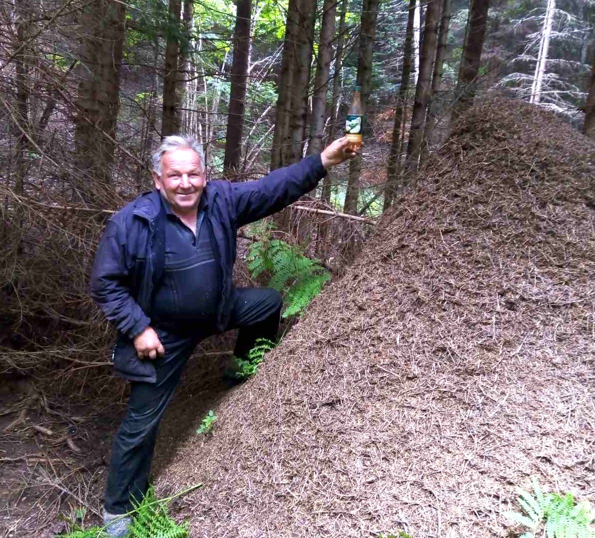 Milomir na padinama Murtenice pronašao mravinjak kao plast sena: Star ...
