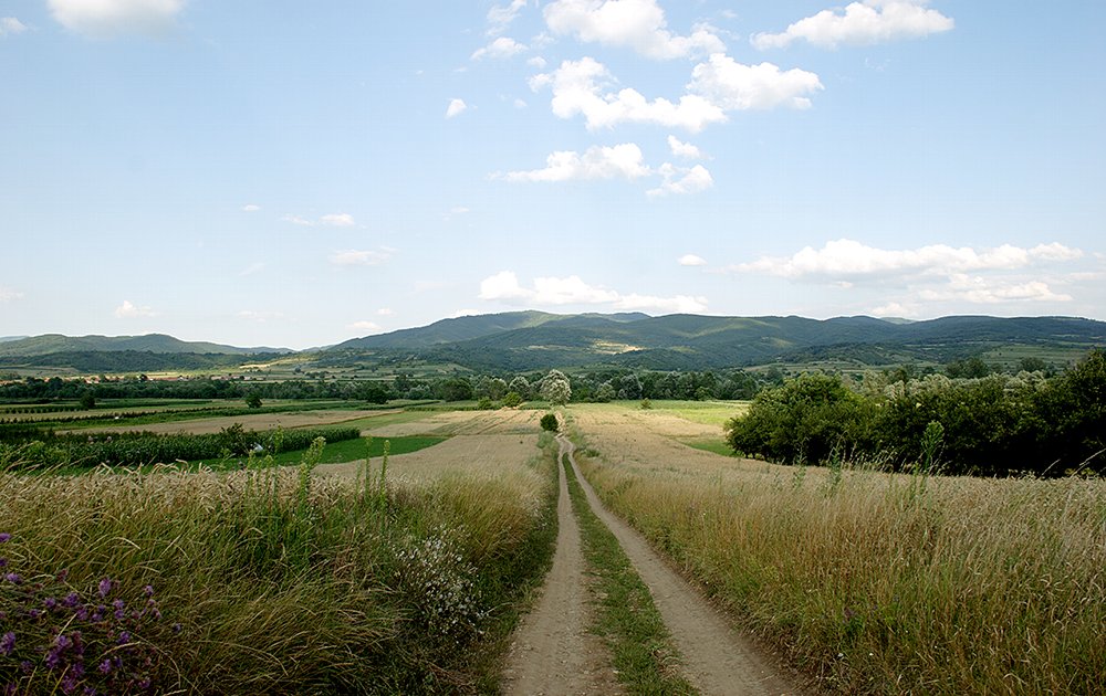 "Little Tuscany" in the Timok Valley was named after a great Serbian ...