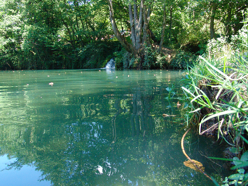 The emerald Gradac River - Valjevo region's treasure: A gift of nature ...