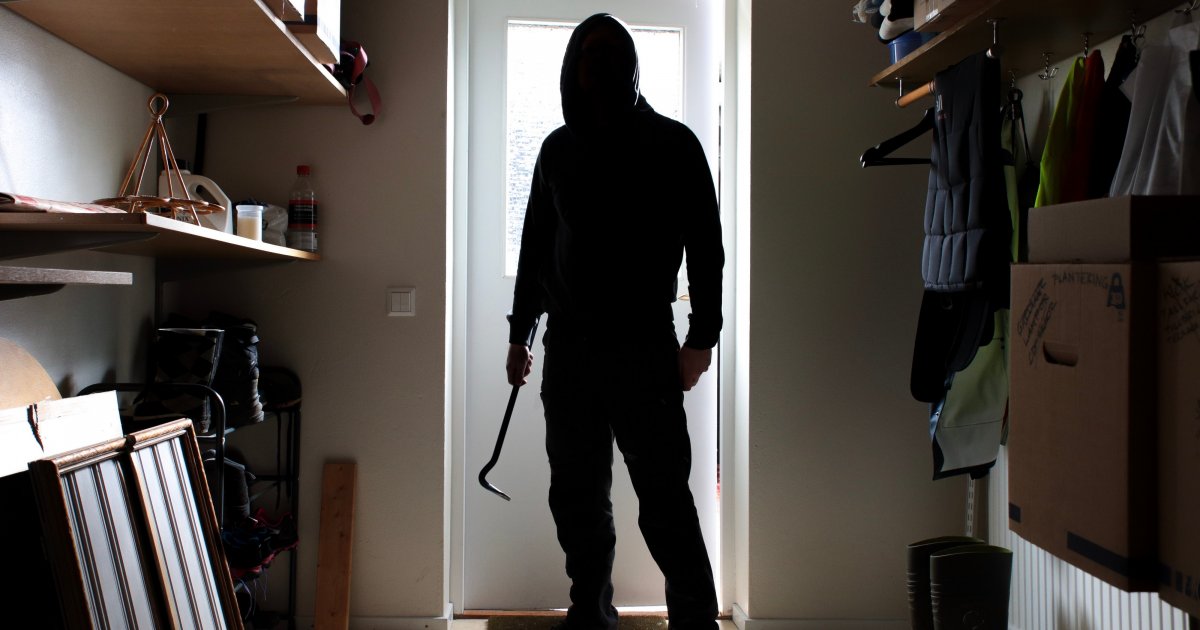 Uhapšen serijski lopov - Telegraf.rs