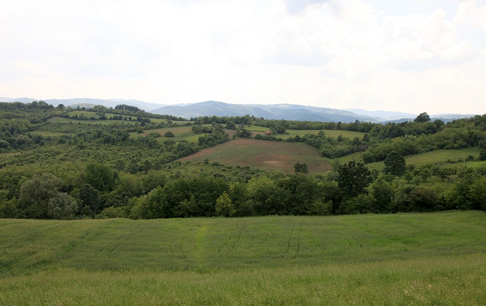 Rača Kragujevac - Ona.rs