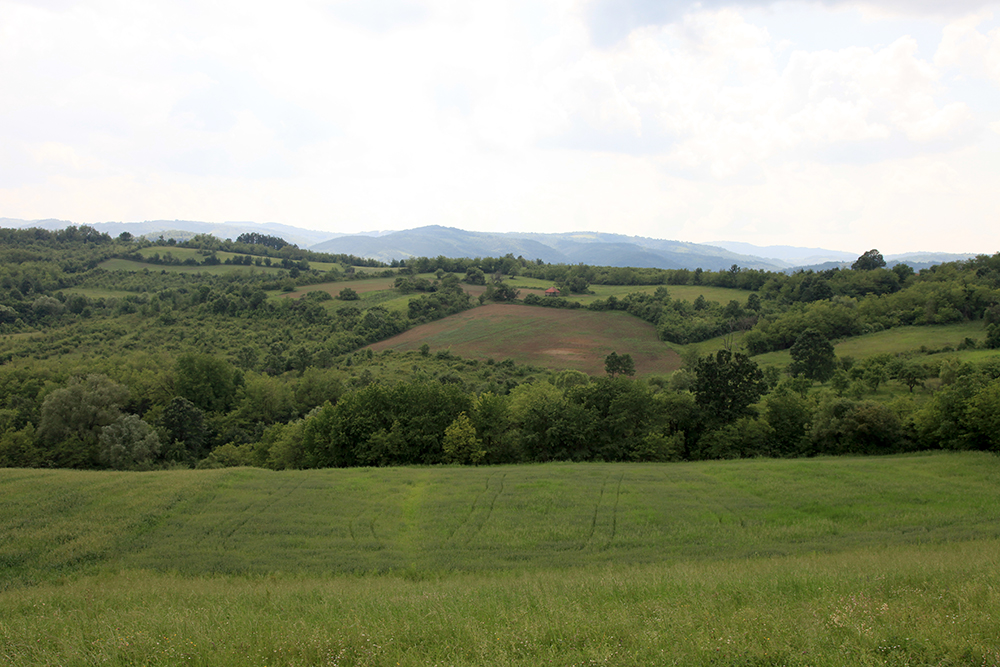 Rača Kragujevac - Ona.rs