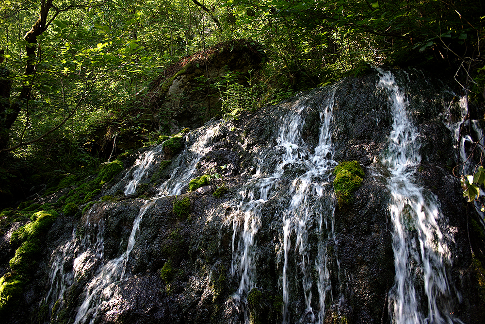 Ladjevac - hot spring in the heart of Mt. Tara: Locals believe that ...