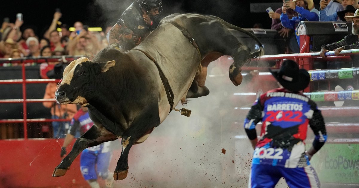 Neverovatne borbe kauboja u slikama: Pogledajte kako izgleda rodeo ...